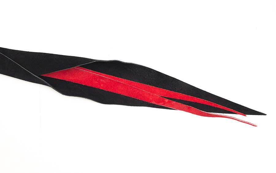 Dragon Tongue - The BDSM Toy Shop